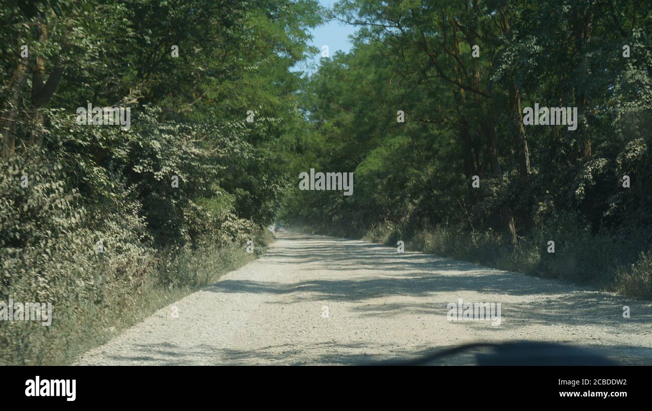 Curve rough road with foliage on each side during a sunny day Stock ...