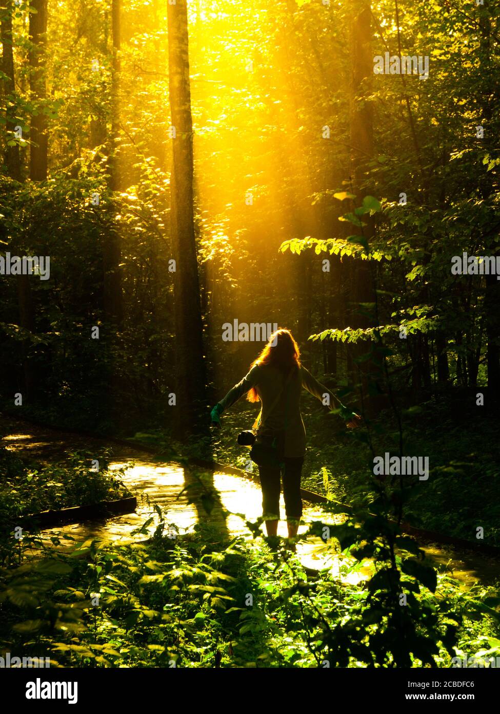 Woman standing sun light hi-res stock photography and images - Alamy