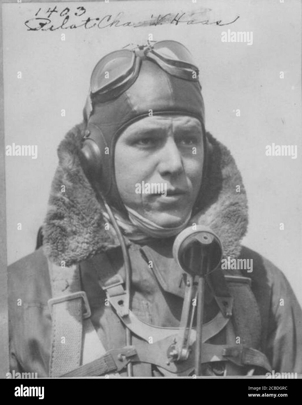 White hass hi-res stock photography and images - Alamy