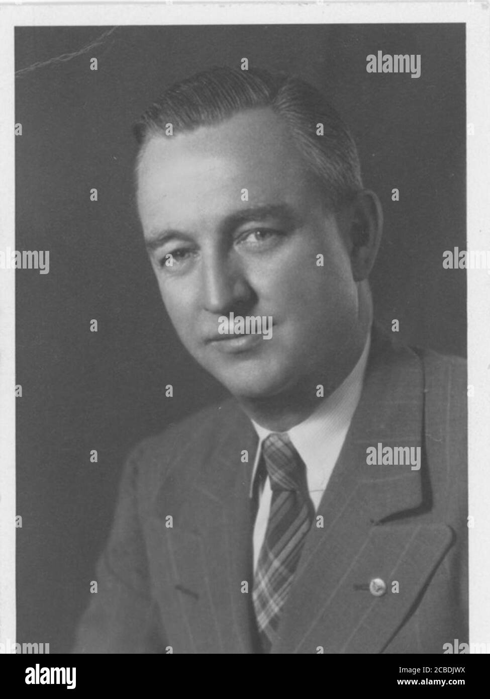 Fink photo hi-res stock photography and images - Alamy