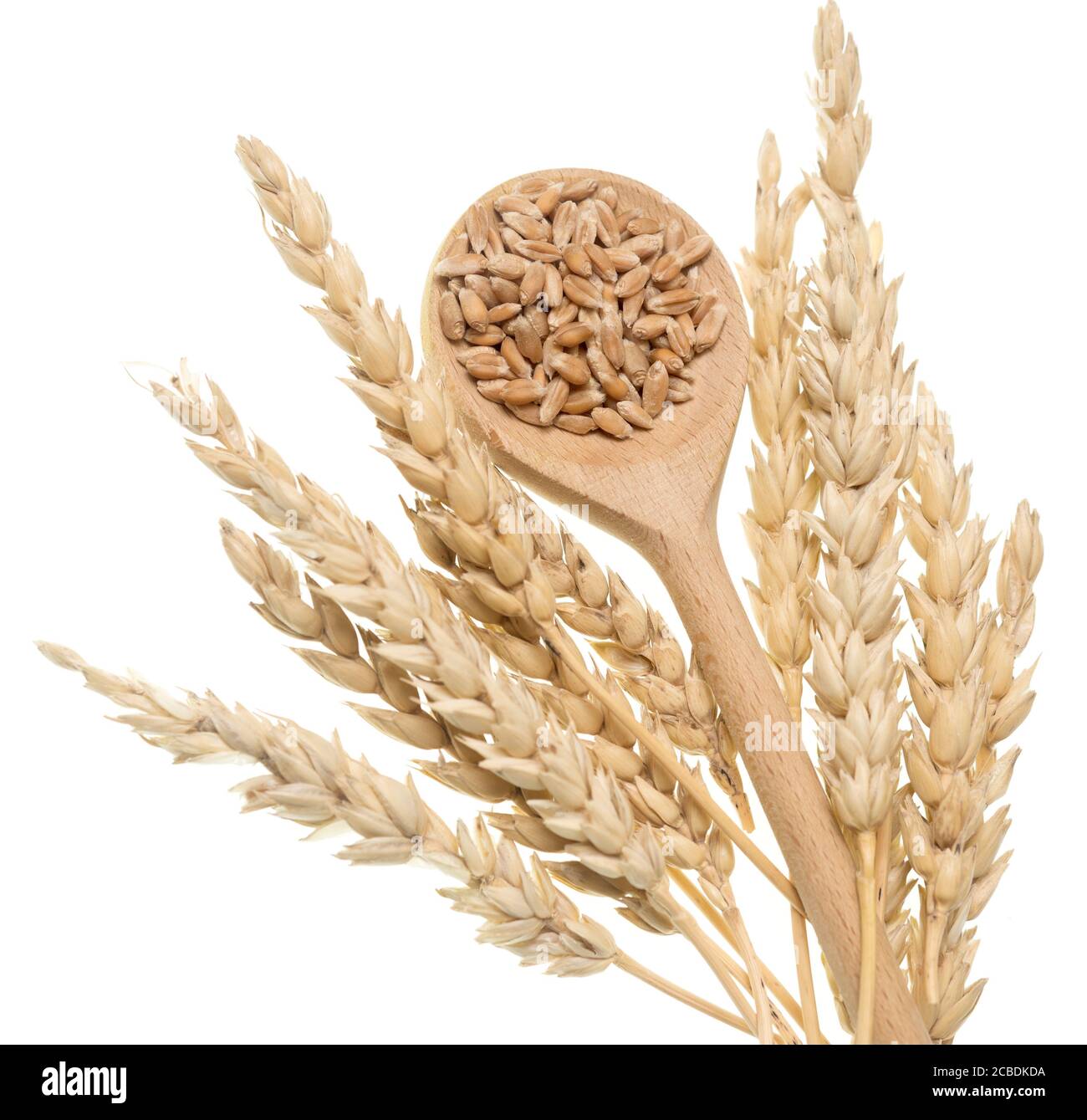 Wheat isolated on white background Stock Photo - Alamy