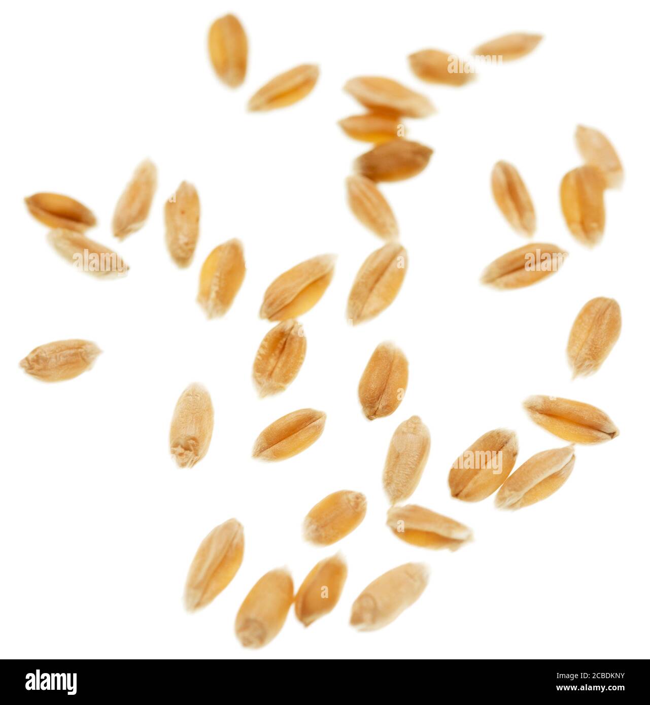 Wheat grain isolated on white background Stock Photo - Alamy