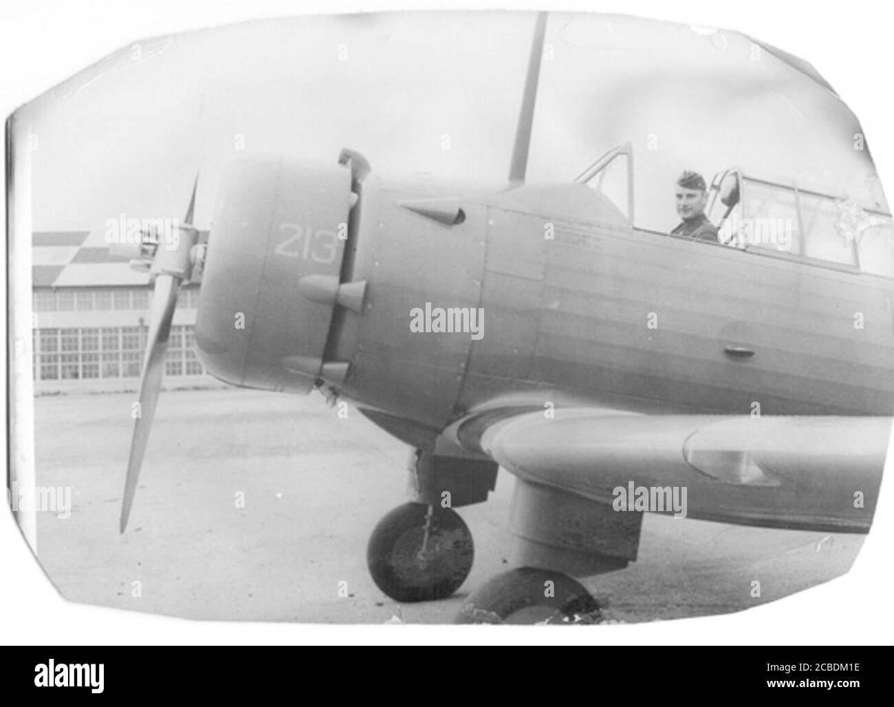 Longaker hi-res stock photography and images - Alamy