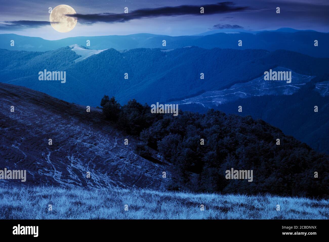 mountain landscape at night. trees on the meadow in dry grass in full ...