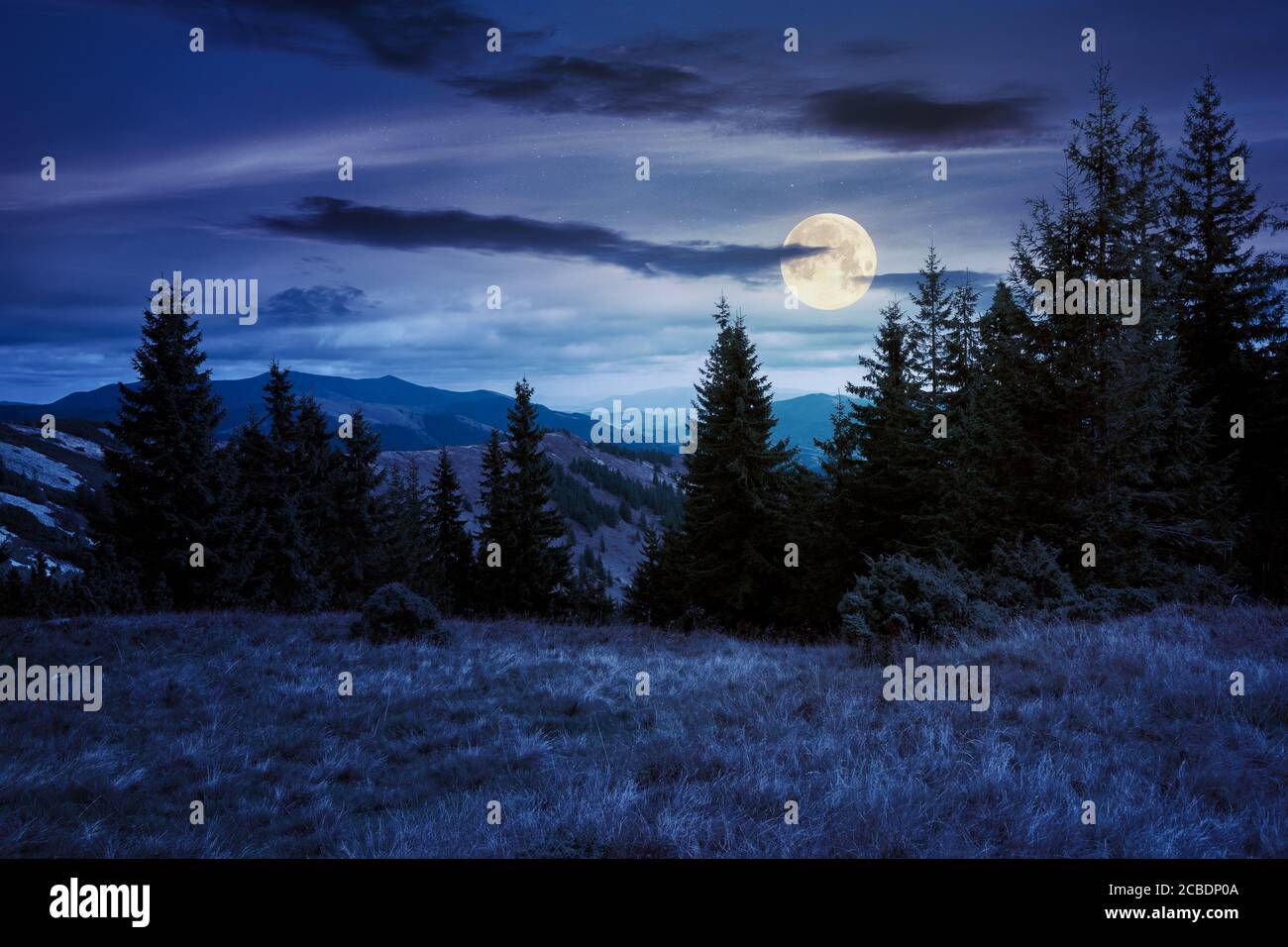 Hillside At Night