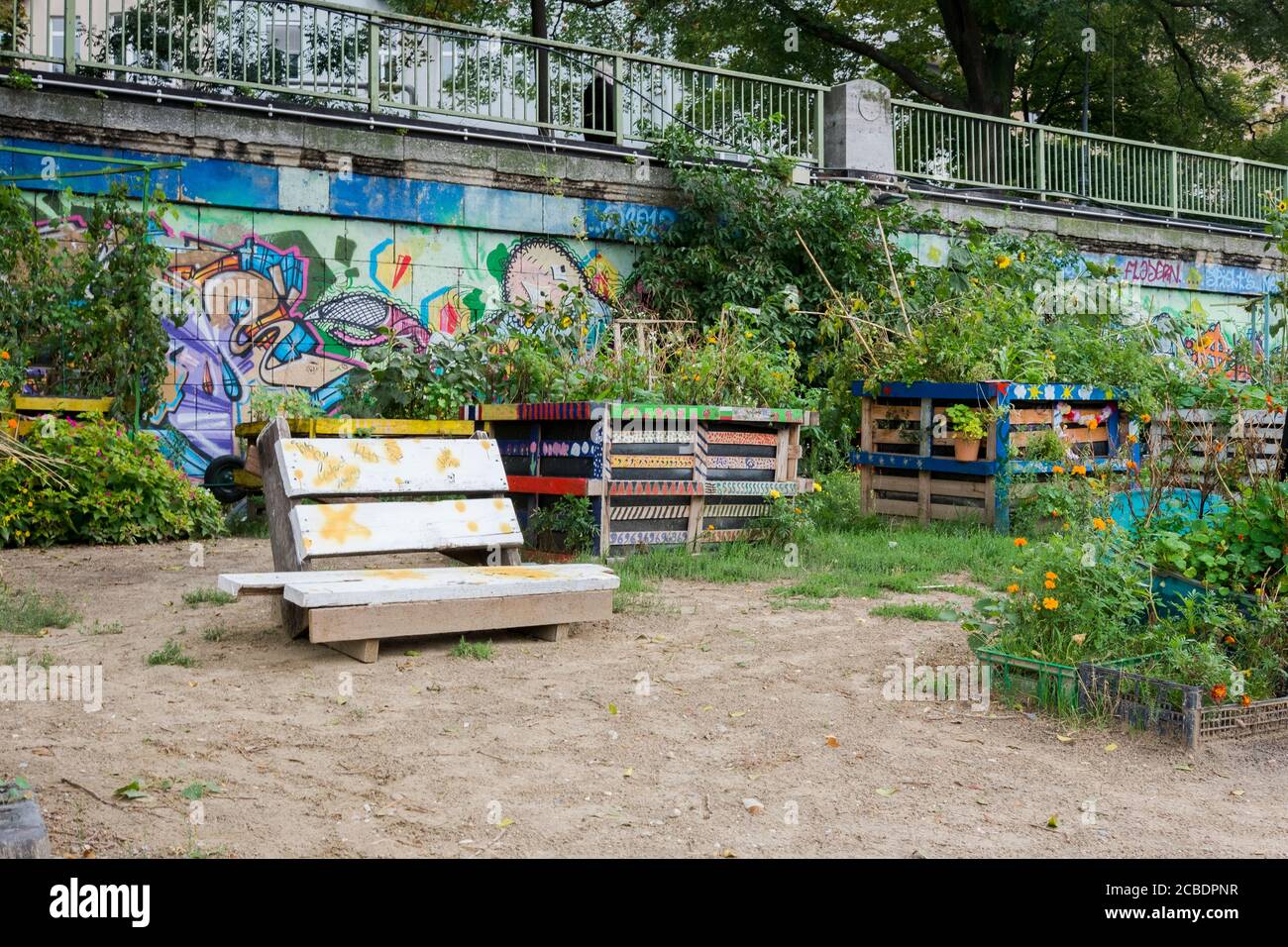Iconic, artistic graffiti in an urban vegetable garden of raised beds ...