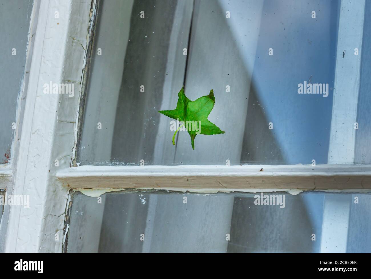 Window Pane Sales Cape Town at Marcos Hines blog