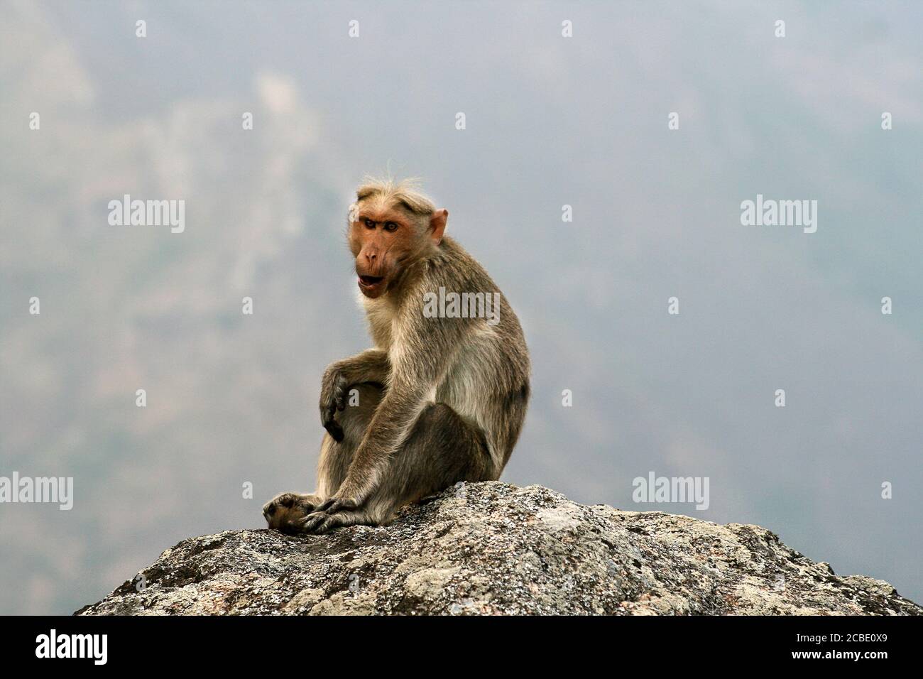 Ramakkalmedu is a pleasant hill station and hamlet in the Idukki ...