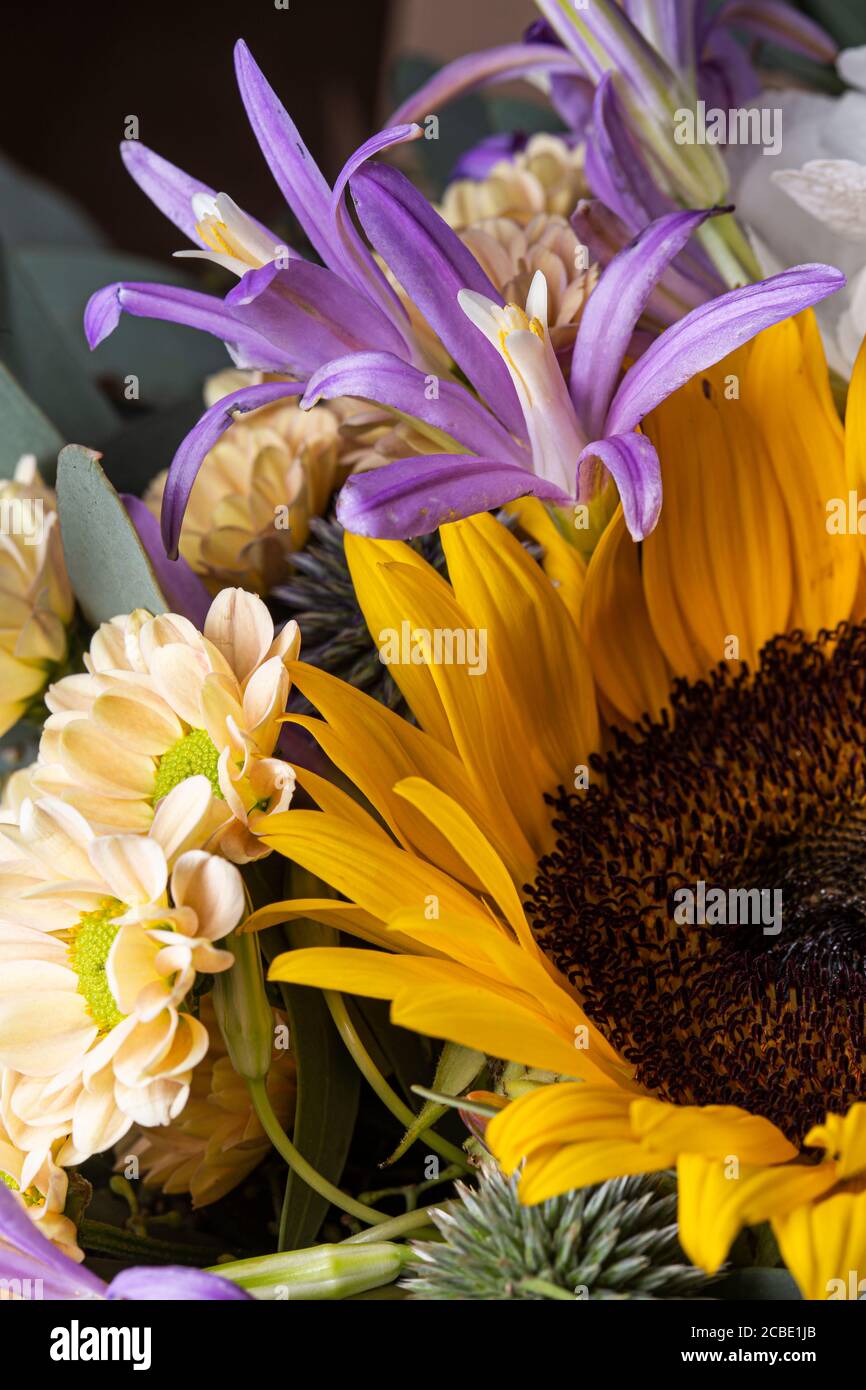 Flower bouquet close up detail with smooth petals Stock Photo - Alamy