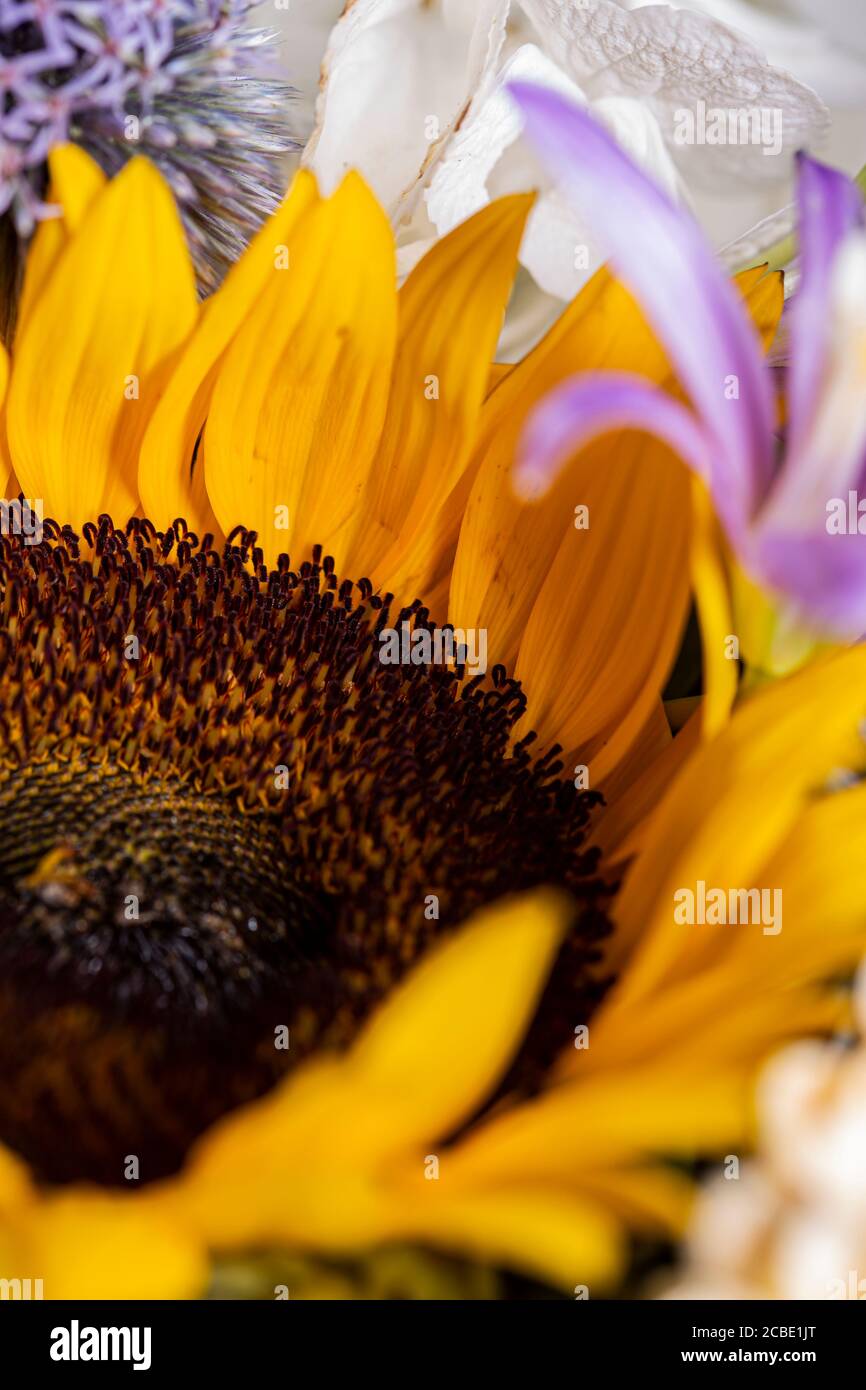 Flower bouquet close up detail with smooth petals Stock Photo - Alamy