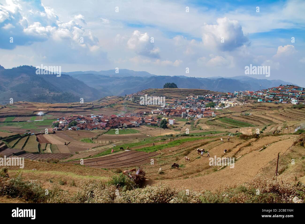 Poombarai is a tiny village famous for its production of garlic in ...