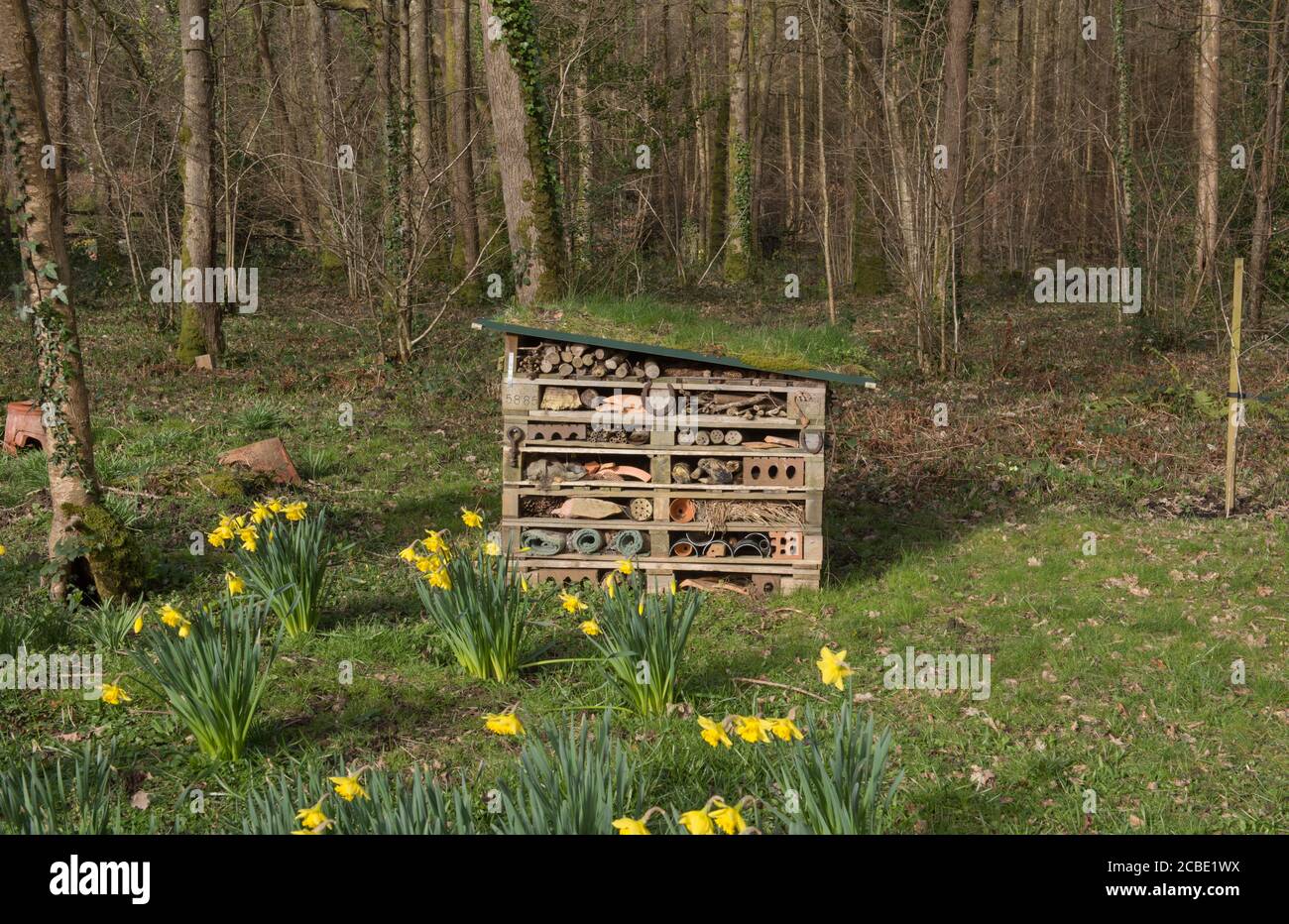 Home made bug hotel hi-res stock photography and images - Alamy