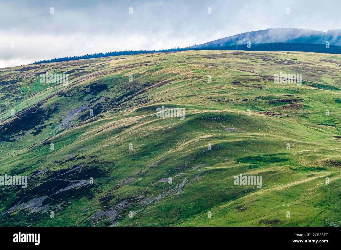 Yarrow Valley High Resolution Stock Photography and Images - Alamy