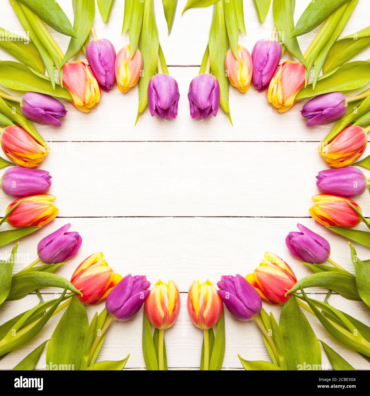 Top view of colorful fresh tulips creating a heart shape on a white ...