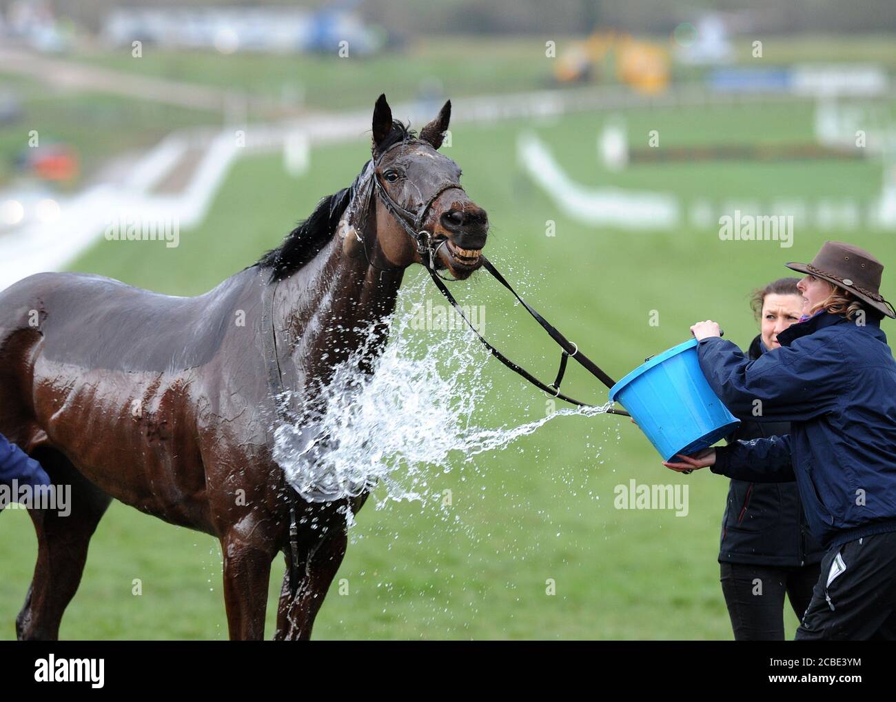 National hunt racing hi-res stock photography and images - Alamy