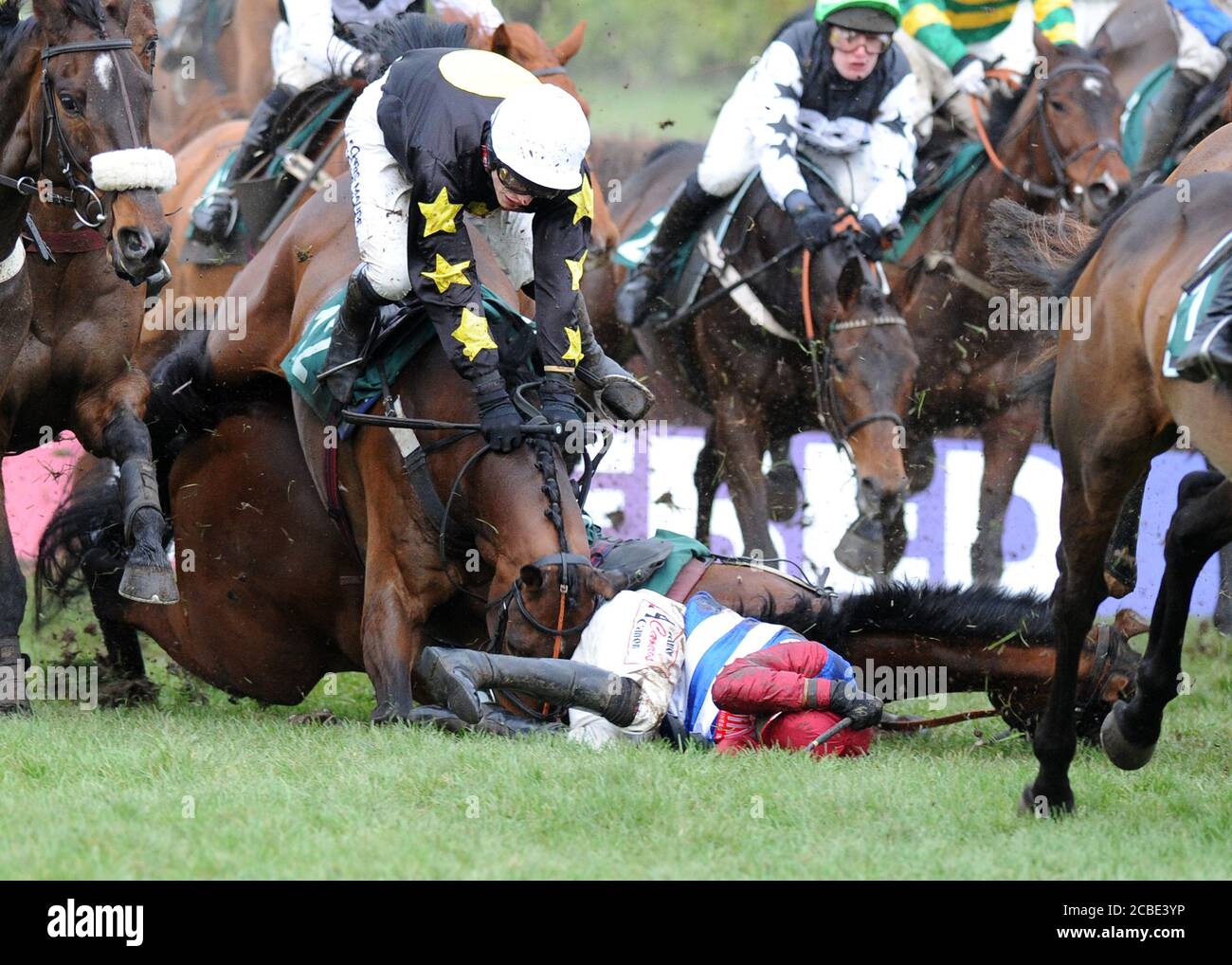 A fall during a National Hunt Race meeting at Cheltenham. Jockey ...