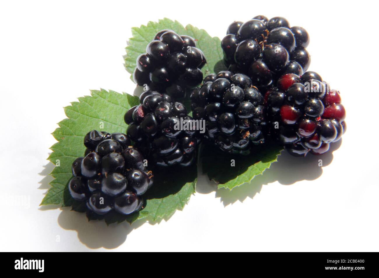 Blackberries isolated on white background Stock Photo - Alamy