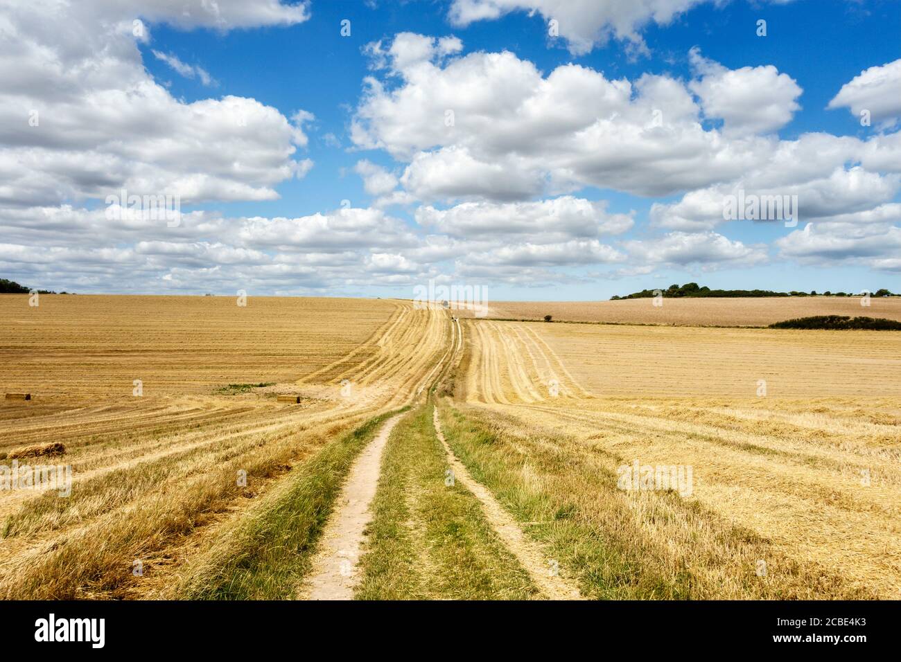English summer holiday coastal path hi-res stock photography and images ...