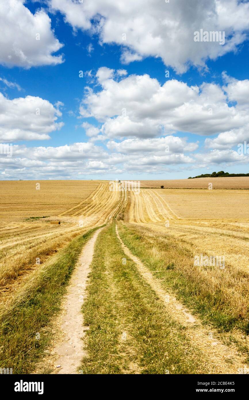 English summer holiday coastal path hi-res stock photography and images ...