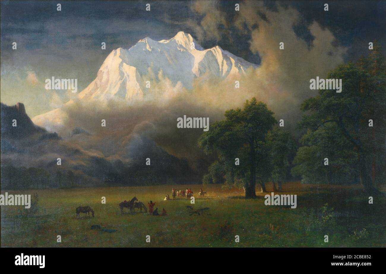 árbol adams hi-res stock photography and images - Alamy