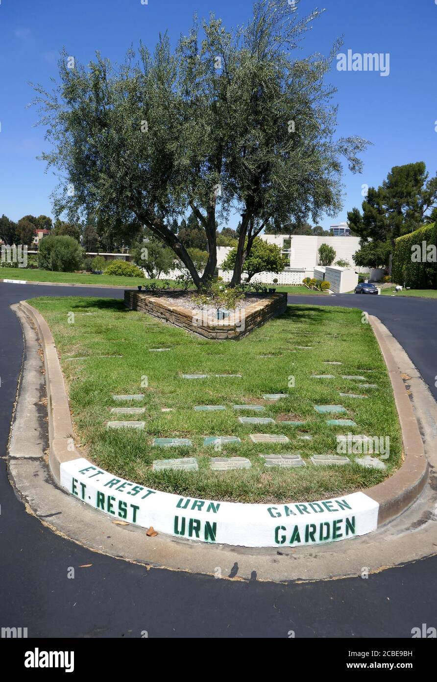 Sheldon lennard shelly novack hi-res stock photography and images - Alamy