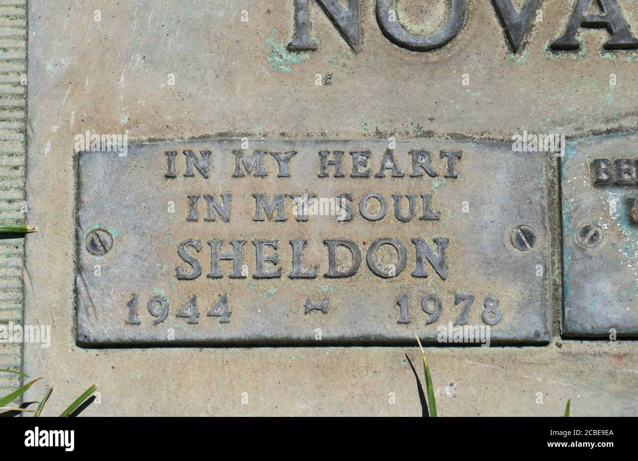 Shelly novack hi-res stock photography and images - Alamy