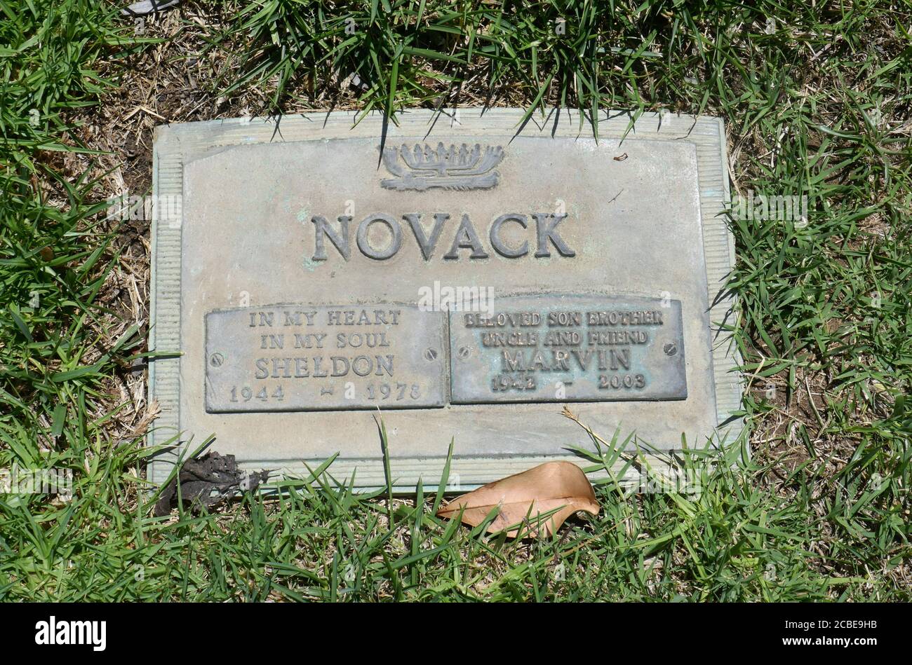 Sheldon lennard shelly novack hi-res stock photography and images - Alamy