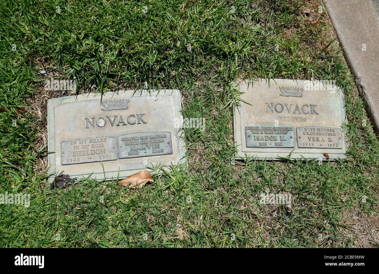 Shelly novack hi-res stock photography and images - Alamy