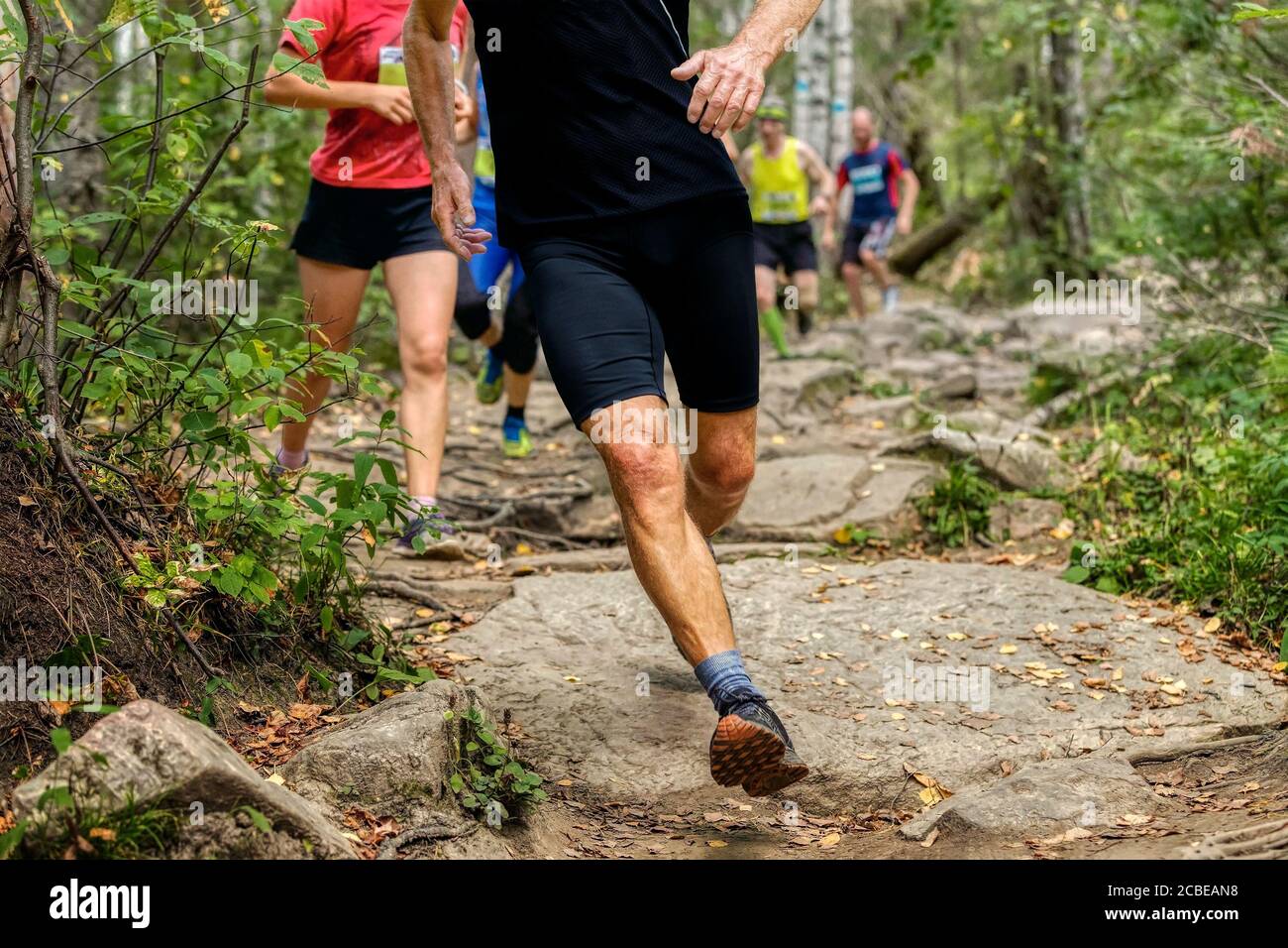 group runners athletes run on rocks forest trail marathon Stock Photo ...