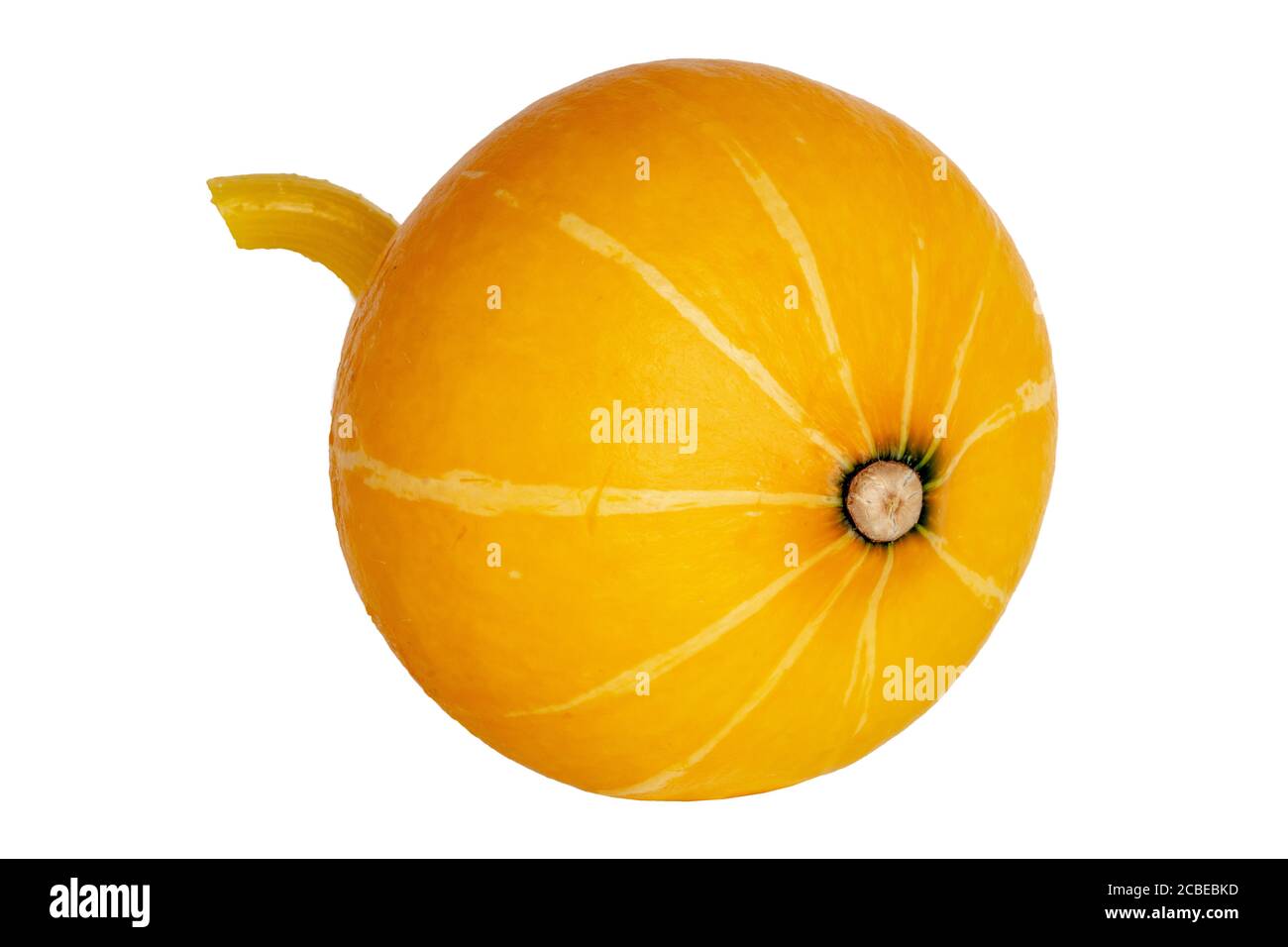 Two yellow zucchinis hi-res stock photography and images - Alamy