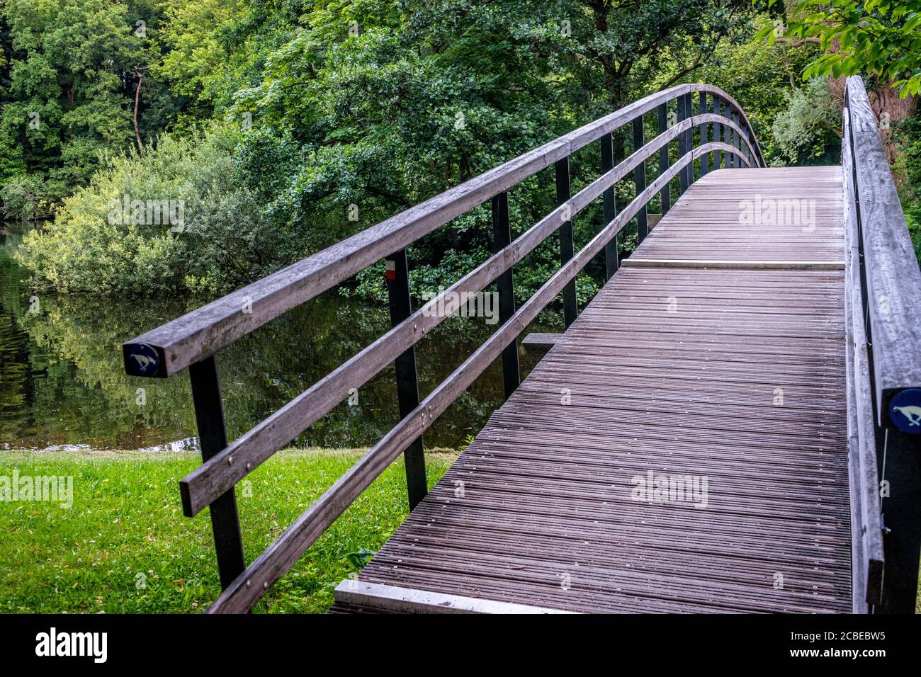 Bridge over a small river in a park covered in greenery at daytime ...