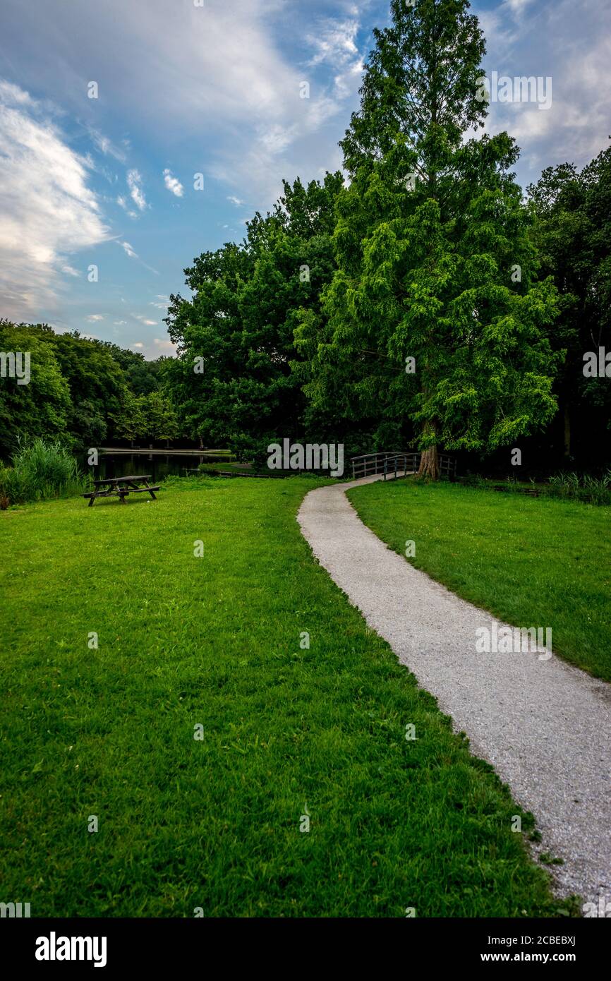 Vertical shot of a pathway in a park covered in greenery under the ...