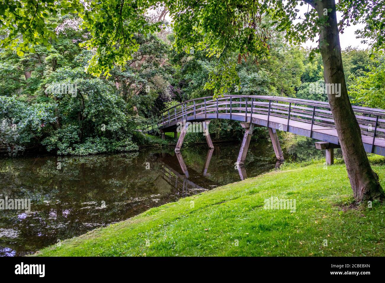 Bridge over a small river in a park covered in greenery at daytime ...