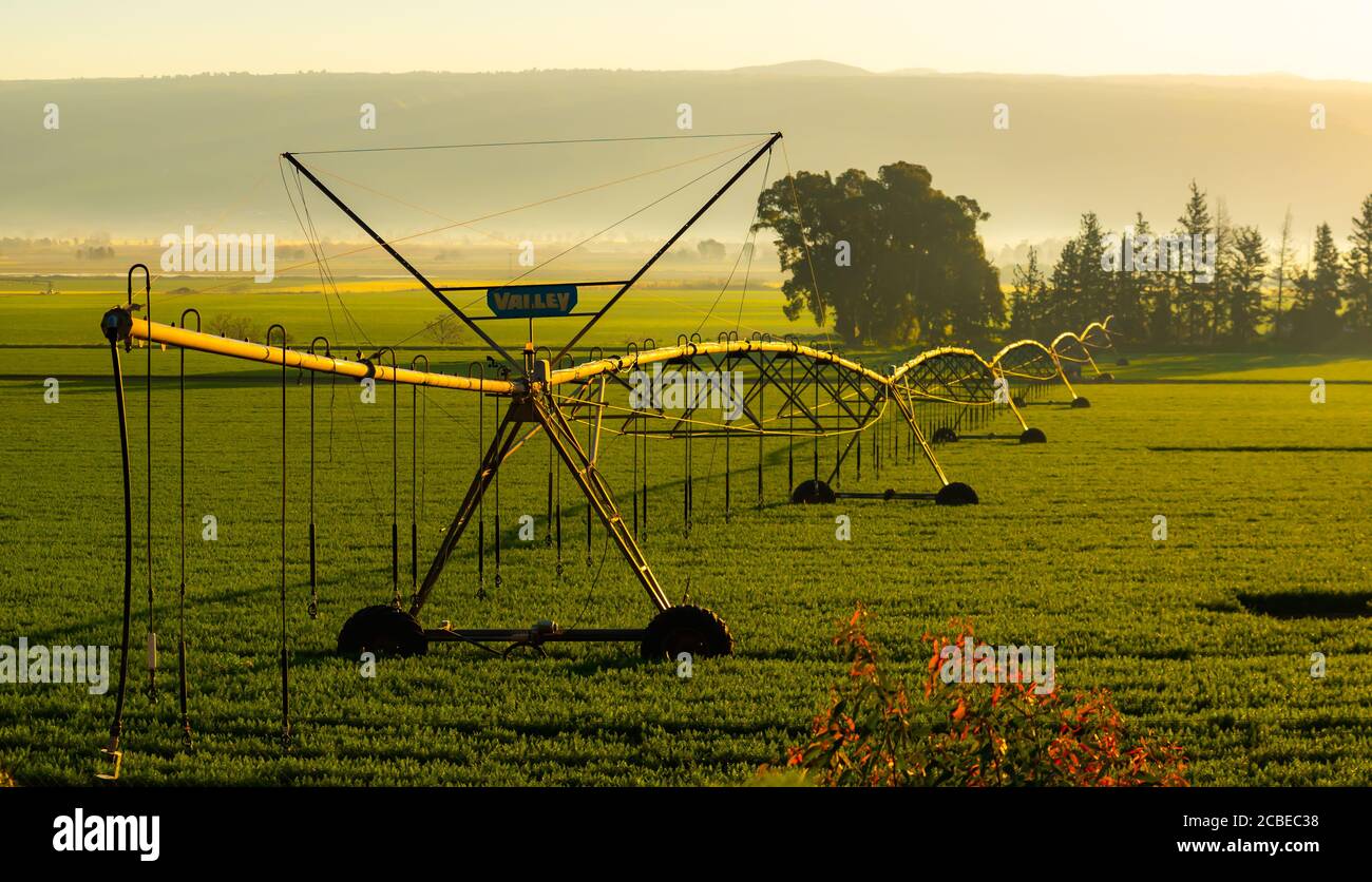 A computerized mobile sprinkler line This line advances automatically ...
