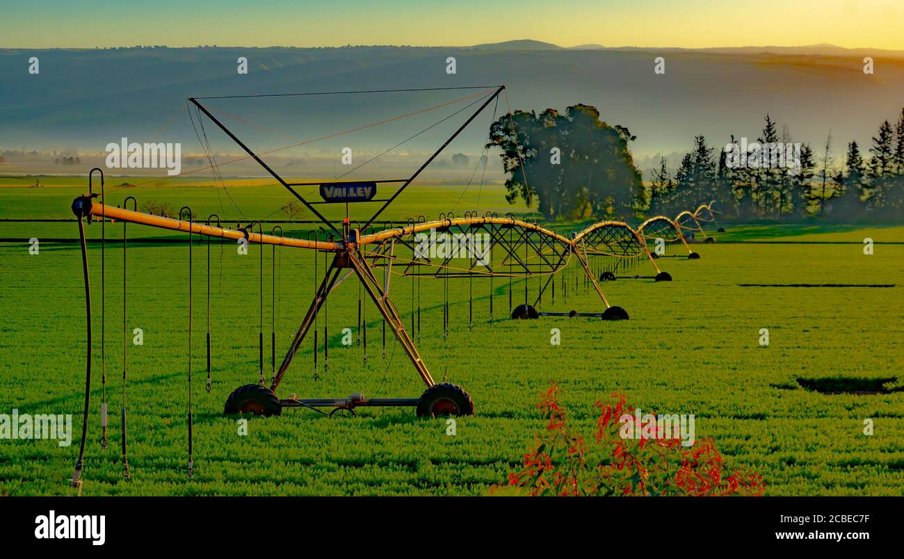 A computerized mobile sprinkler line This line advances automatically ...