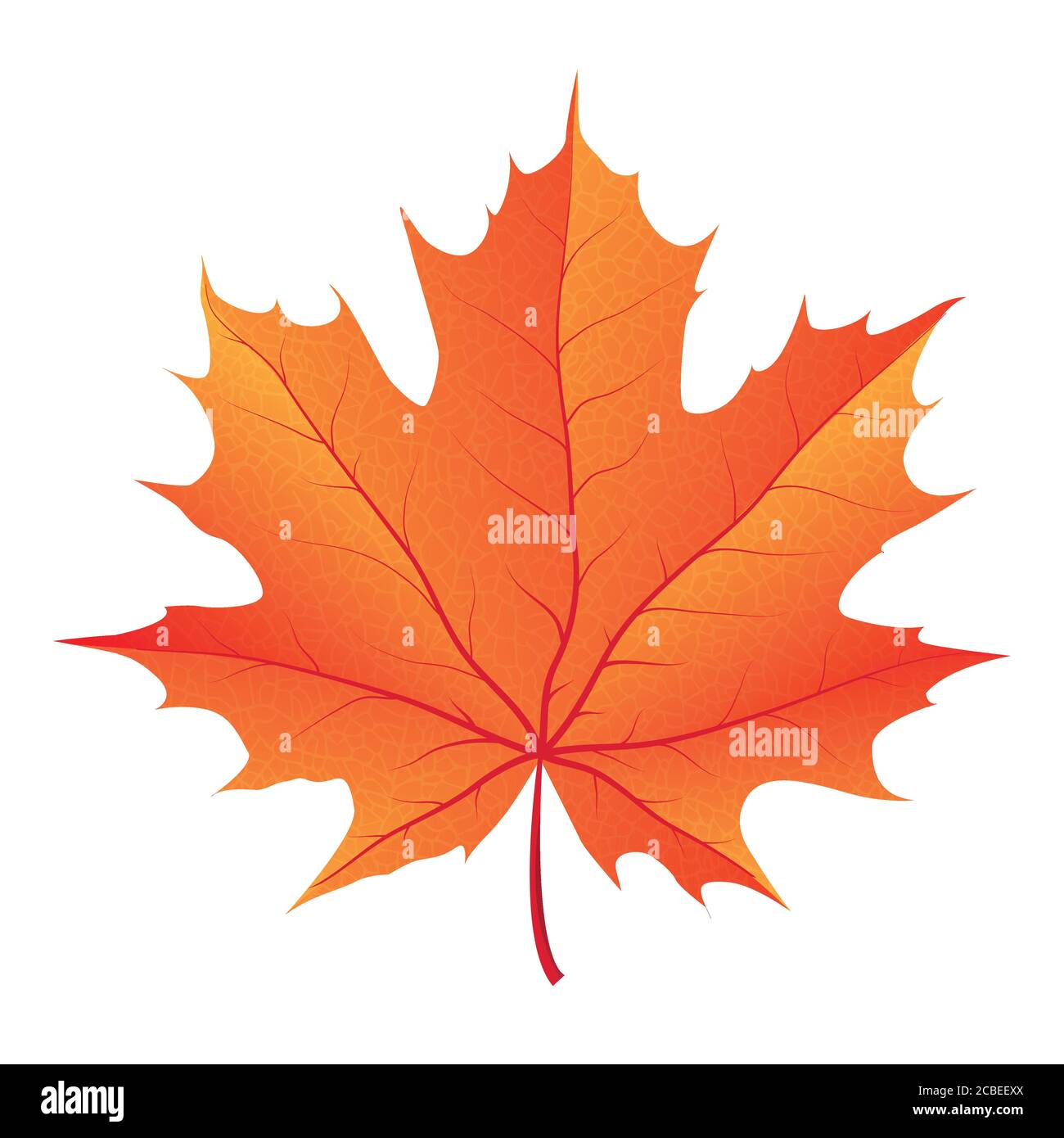 Fall autumn theme maple Cut Out Stock Images & Pictures - Alamy