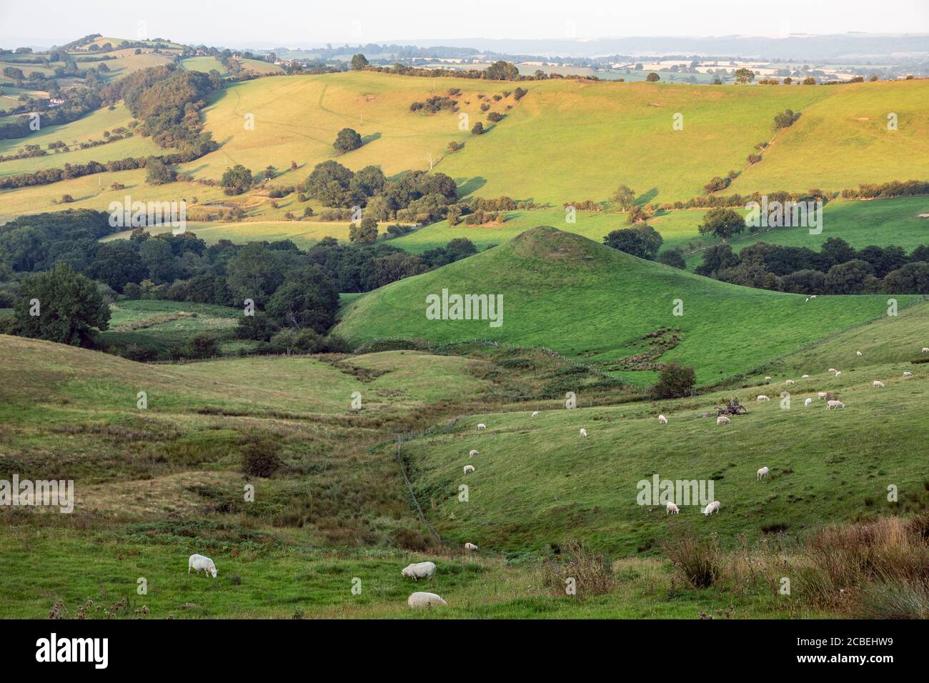 Robins Tump, a Bronze Age burial mound below Caer Caradoc Hill in the ...