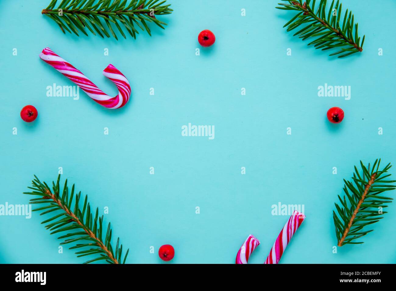 Flat lay shot of fir branches, candy canes and Christmas berries on a blue surface Stock Photo ...