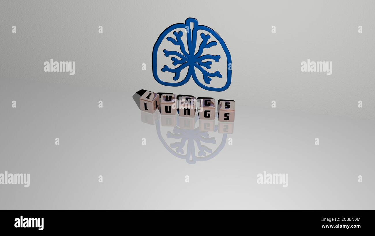 lungs text of cubic dice letters on the floor and 3D icon on the wall ...