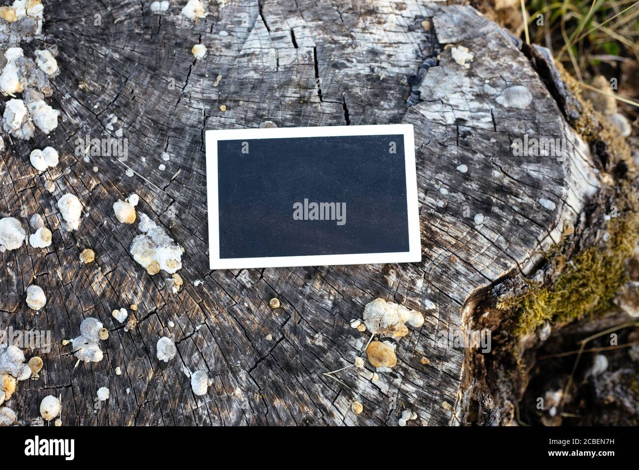 Black chalk on antique hi-res stock photography and images - Alamy