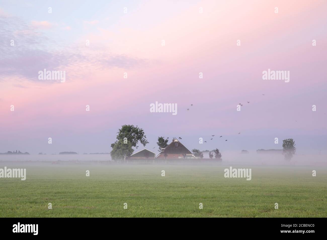 birds flying over farmhouse at dawn Stock Photo - Alamy