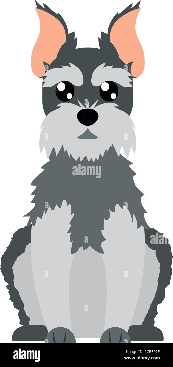 cartoon schnauzer dog icon over white background, flat style, vector ...