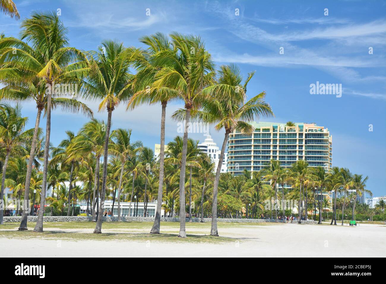 Palm trees on the beach in Miami Beach, South Beach, USA Stock Photo ...