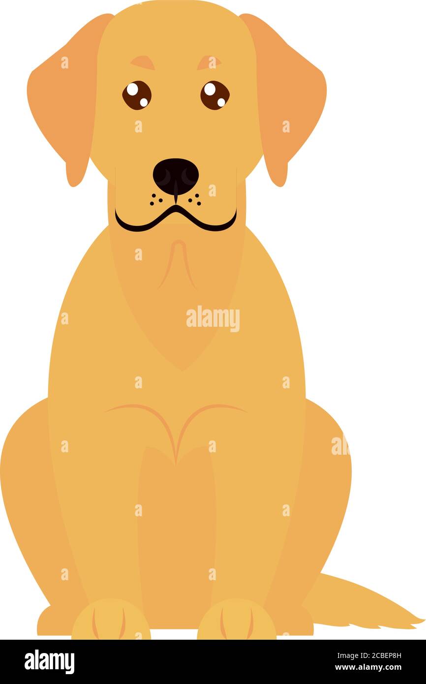 golden retriver dog icon over white background, flat style, vector ...