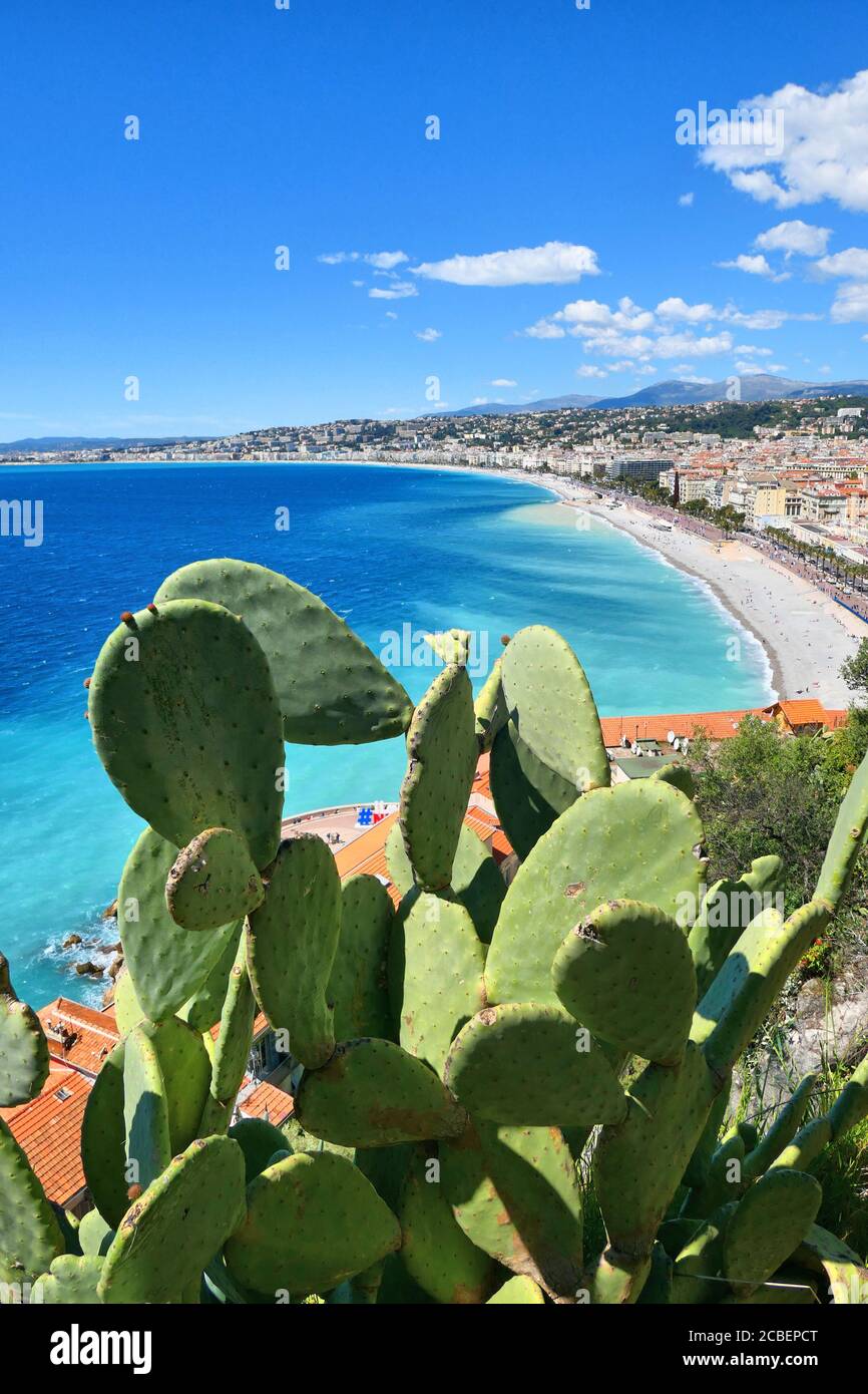 Nice, French Riviera Cote d'Azur in Provence, France. Opuntia cactus ...