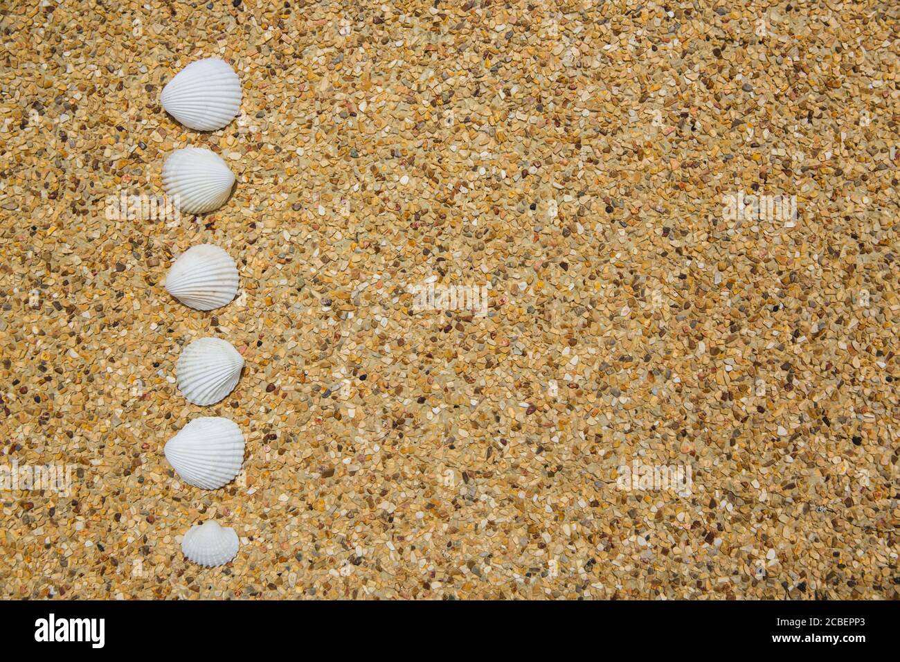 Flat Top Shells High Resolution Stock Photography and Images - Alamy