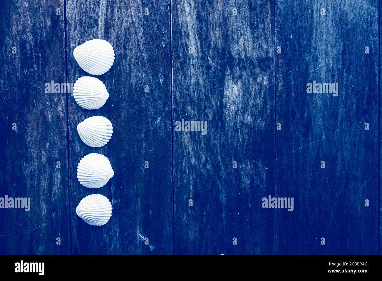 Sea shells on wooden background toned in blue color. Minimal concept ...