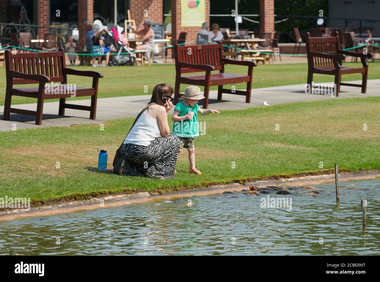 Child feeding fish hi-res stock photography and images - Alamy