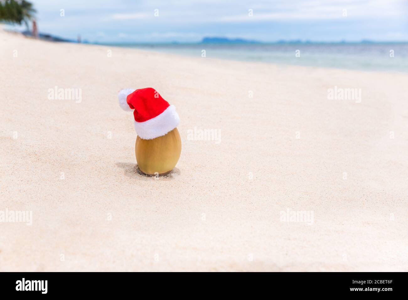 Coconut in a Santa Christmas hat in sand on a tropical beach. Holiday ...