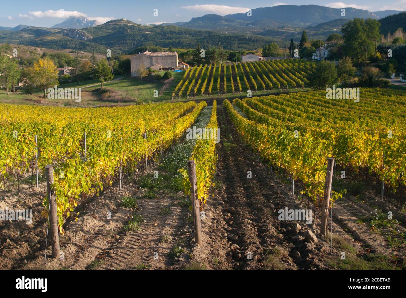 Aoc High Resolution Stock Photography and Images - Alamy